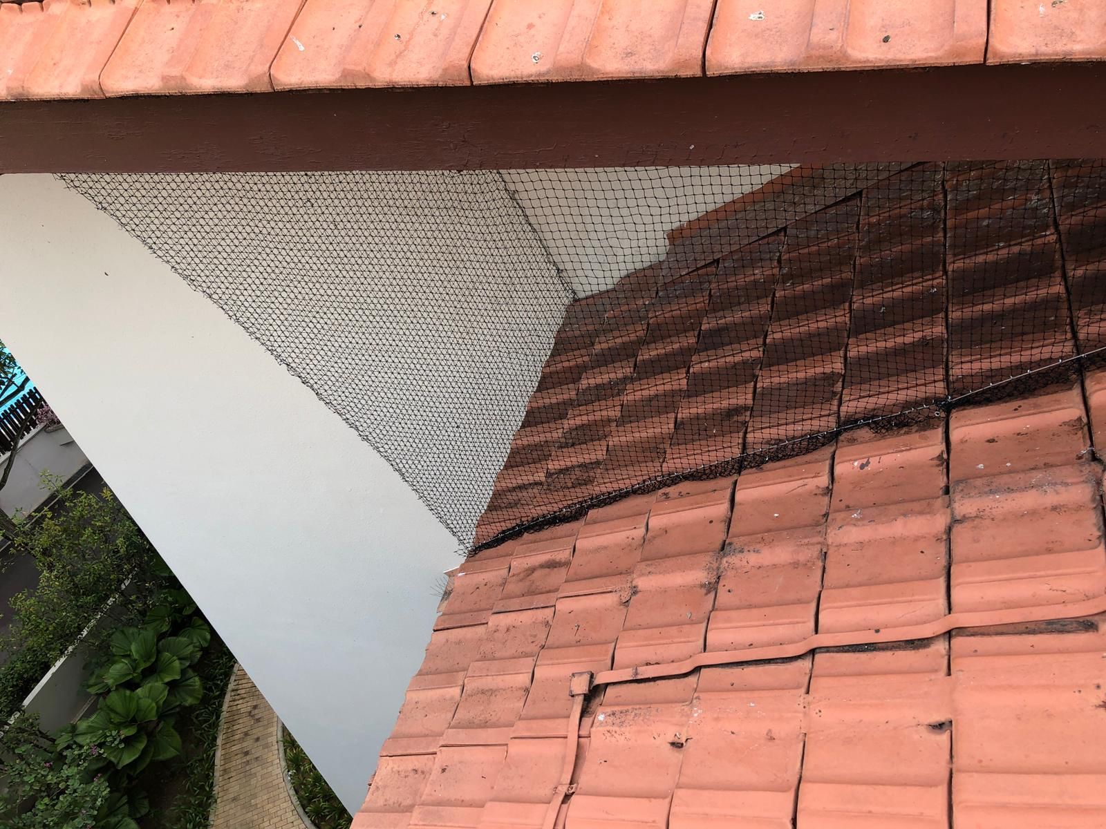 Elite Swift Solutions - Bird Proofing Solution and Services - Services